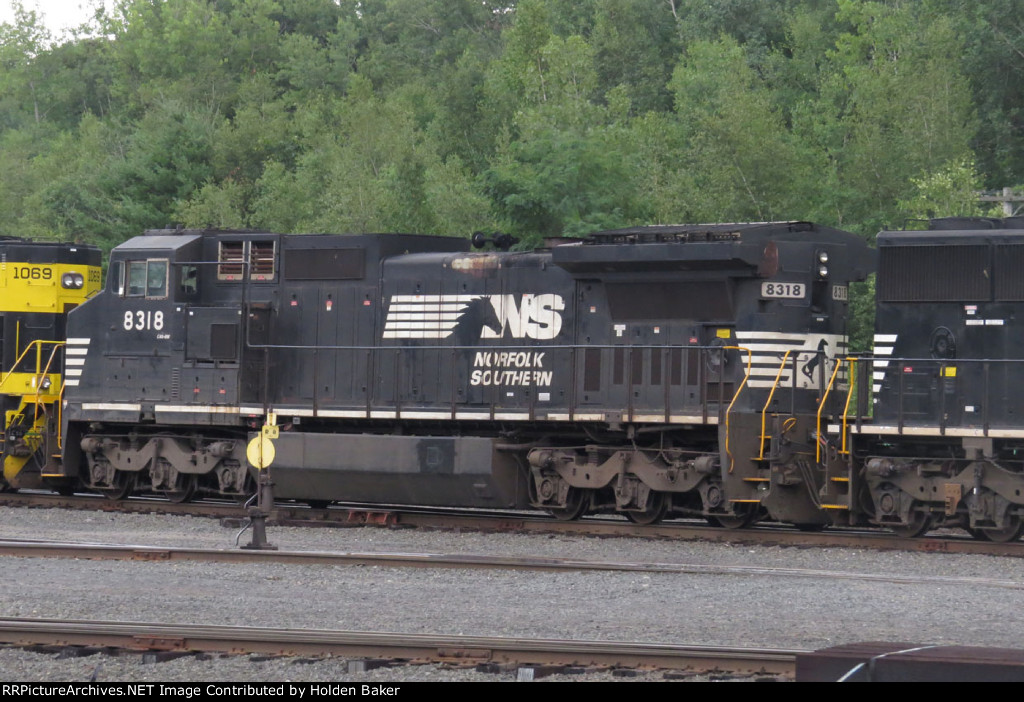 NS 8318
